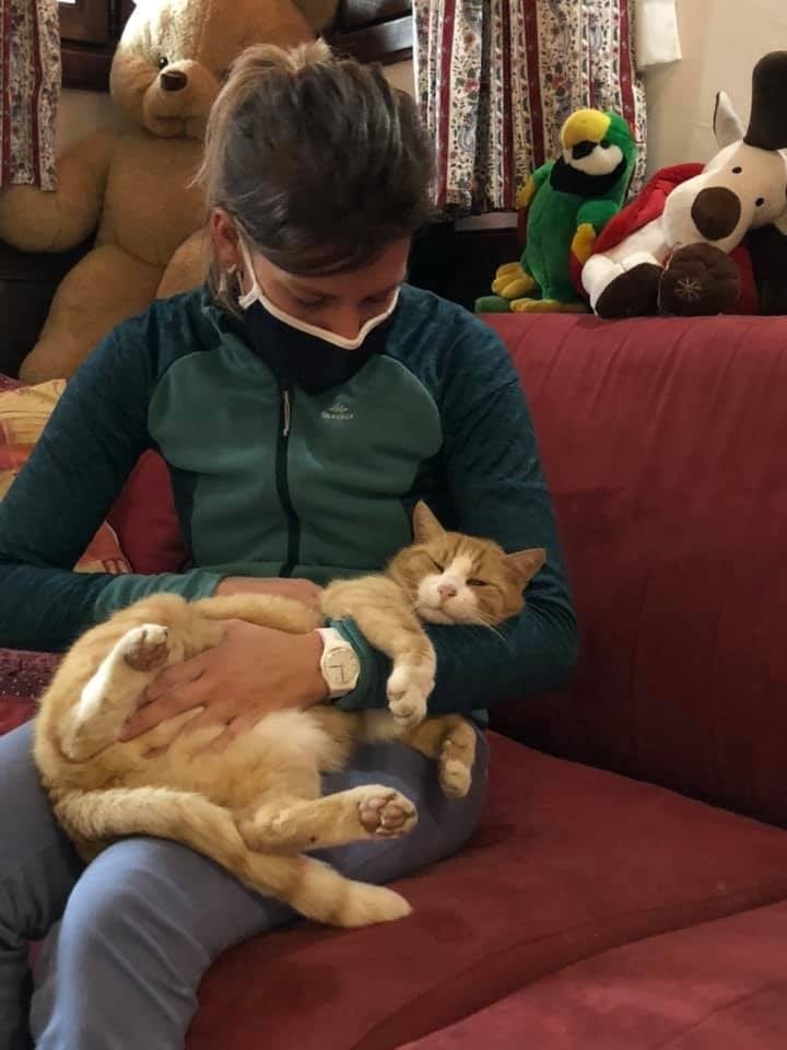 Ostéo Animal'Care - Ostéopathie pour Animaux